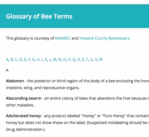 Glossary of Bee Terms
