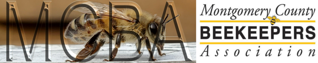 Glossary of Bee Terms – MCBA WordPress Site